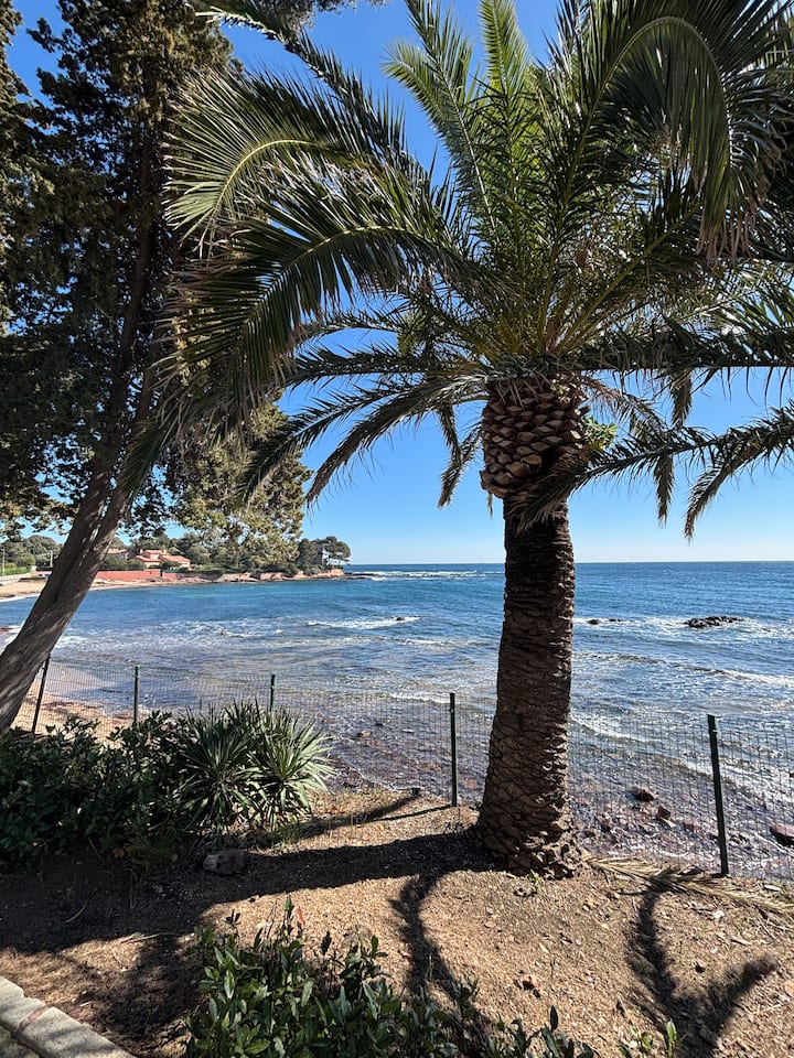 La Terrasse De Boulouris - Saint-Raphaël
