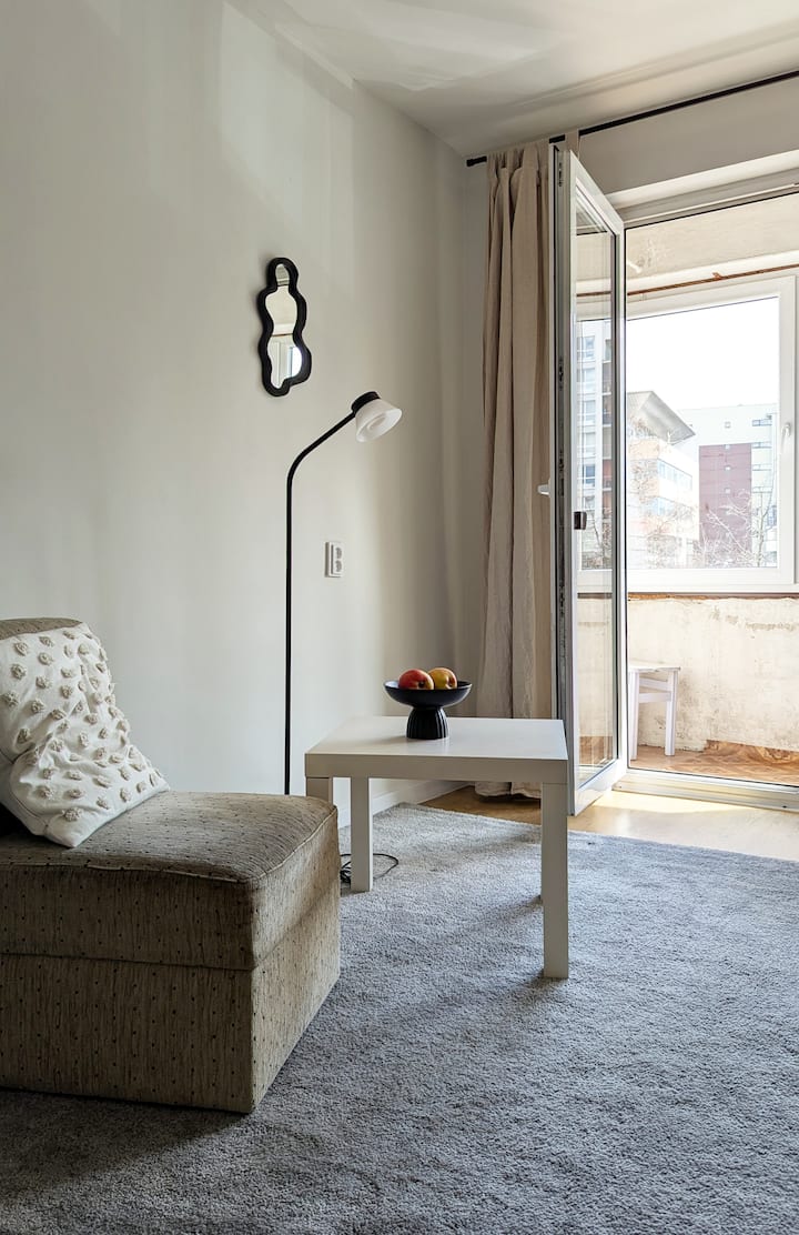 Whole Apt • Separate Kitchen • Quiet Central Area - Vilna