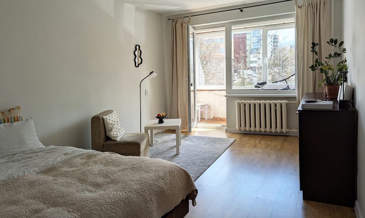 Light & Roomy Apt • Separate Kitchen & Bike! - Vilnius