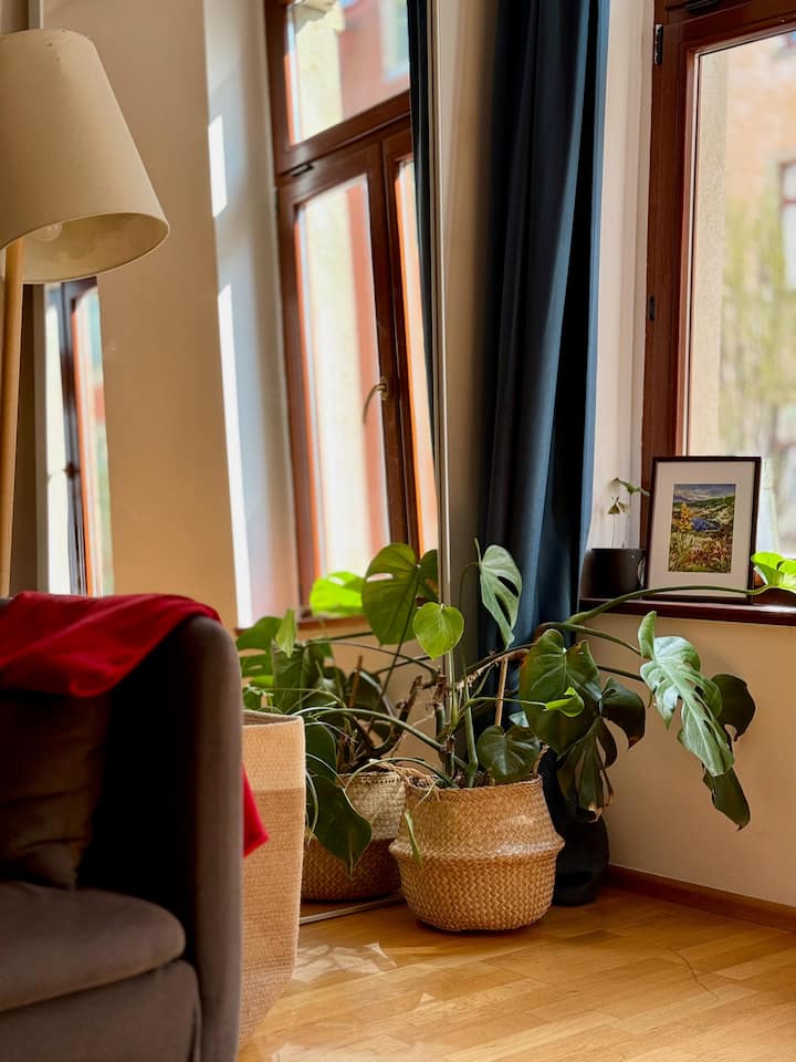 Cozy Apartment Great Location - ドレスデン