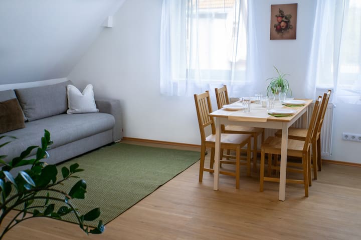 Neu Renovierte Dachgeschosswohnung Mit Parkplatz - Graz