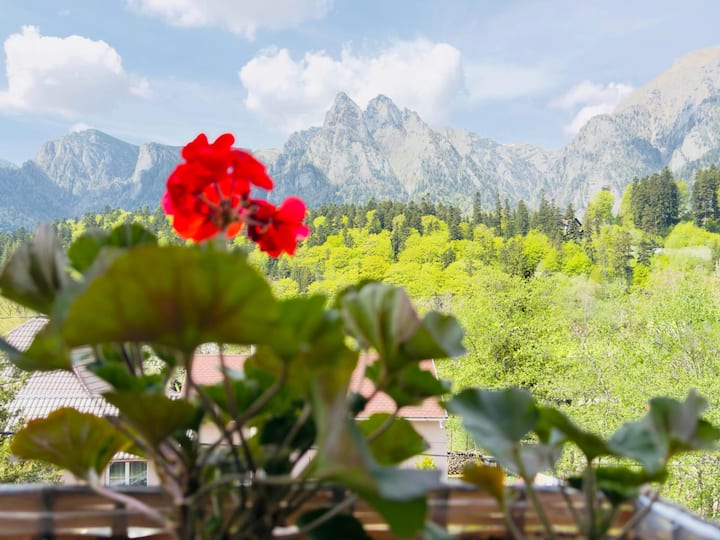 Umani Retreat - Bușteni