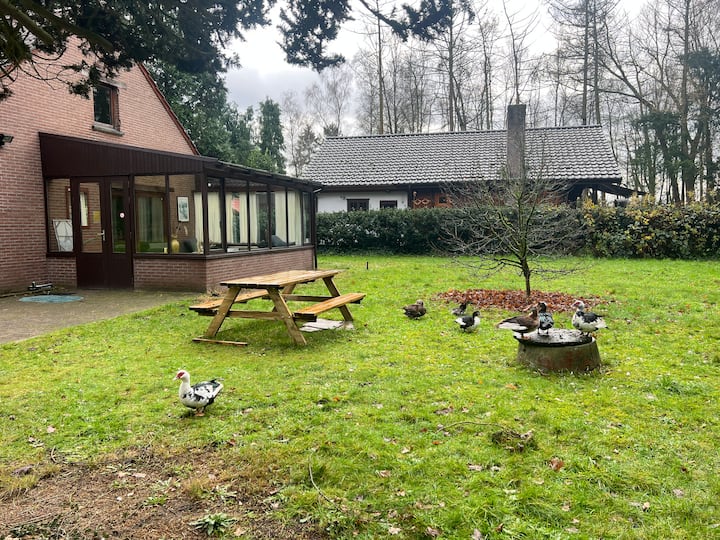 Huizen Dicht Bij Gent, Antwerpen - Stekene