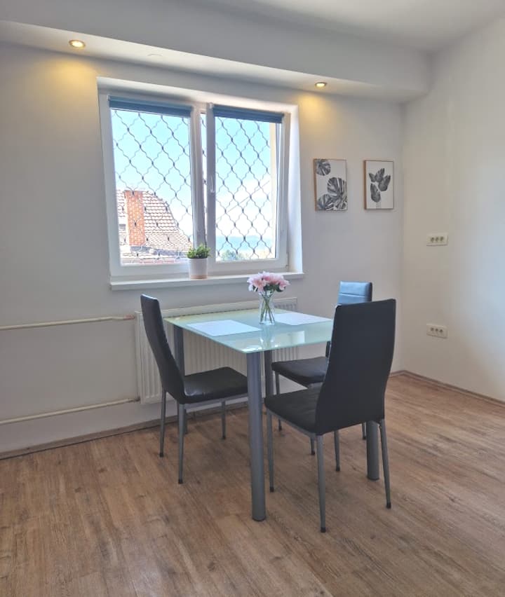 Spacious Apt With Free Parking - Ljubljana