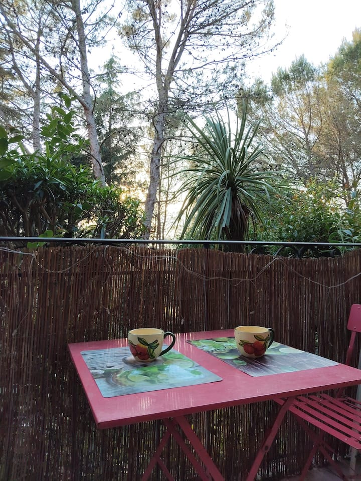 T2 Lumineux: Bureau+fibre, 5 Min Sophia Antipolis - Valbonne