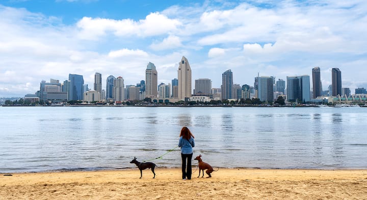 Green Home - San Diego Central Located - San Diego, CA