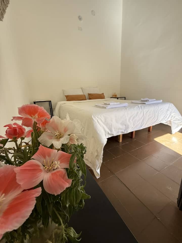 Minimalismo Con Luz Natural. Pet Friendly - Salta