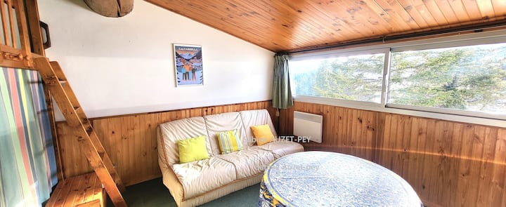 Type : Studio 4 Personnes - Selonnet