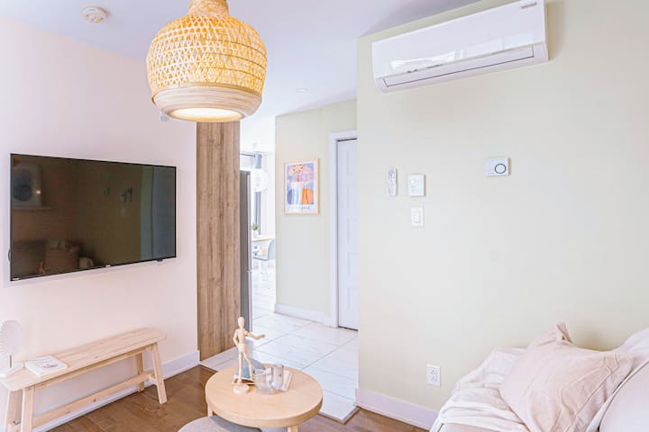 Spacious 1br Getaway/gym/paid Parking - Lasalle