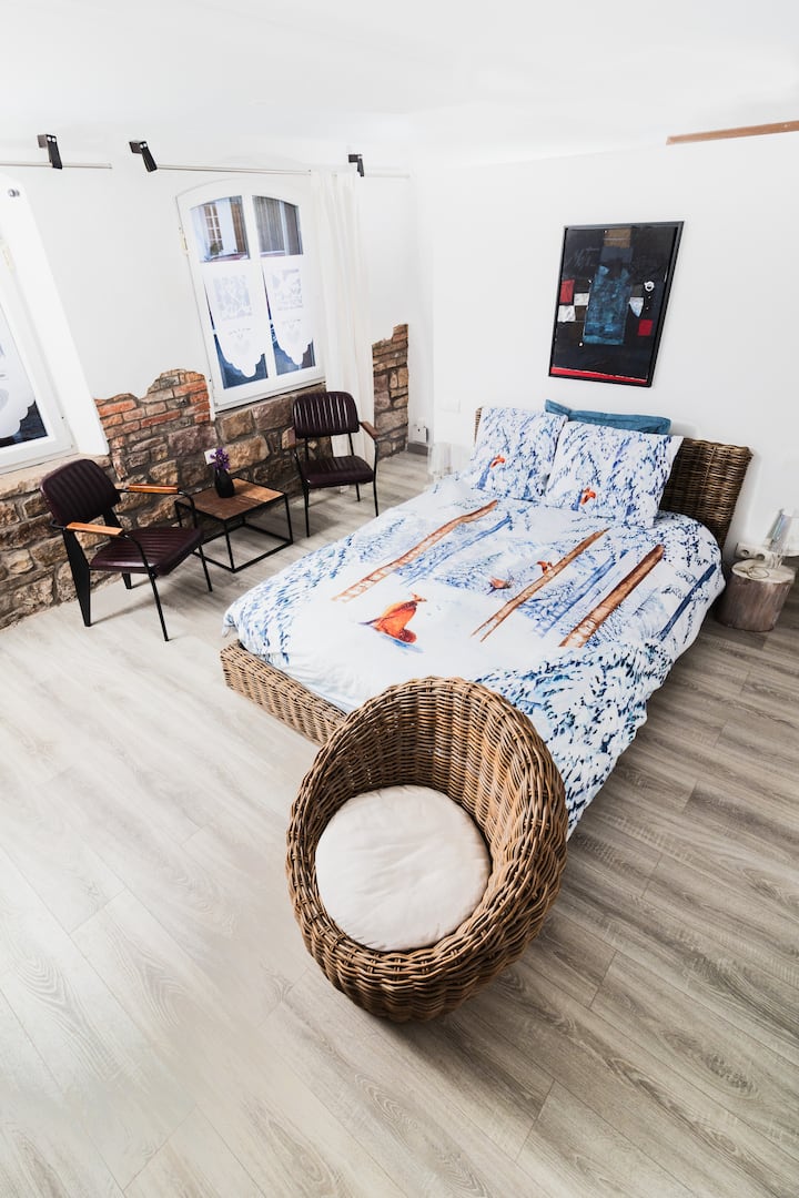 Gîte L'amarante - Haguenau