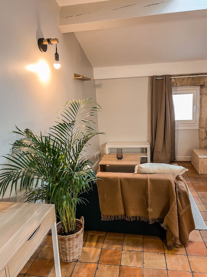 Appartement Cosy Villefranche Sur Saone - Villefranche-sur-Saône