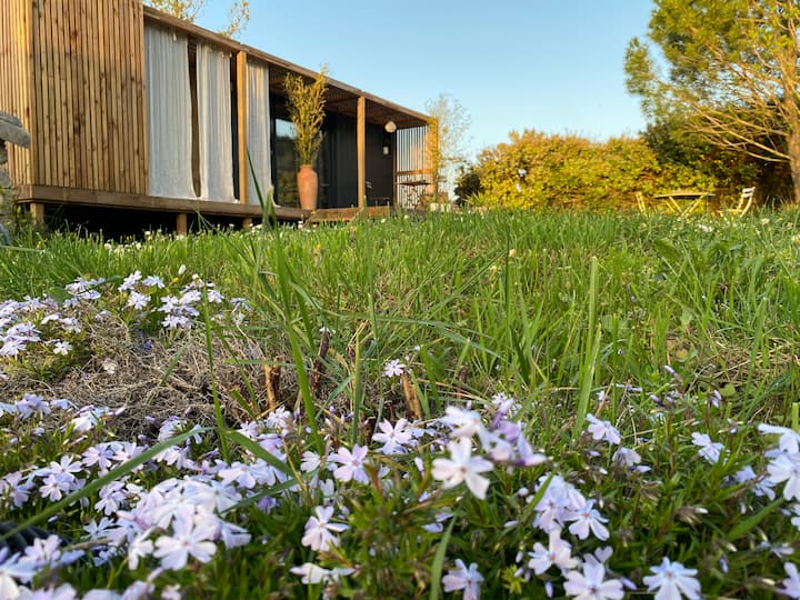 La Balinaise - Carcassonne