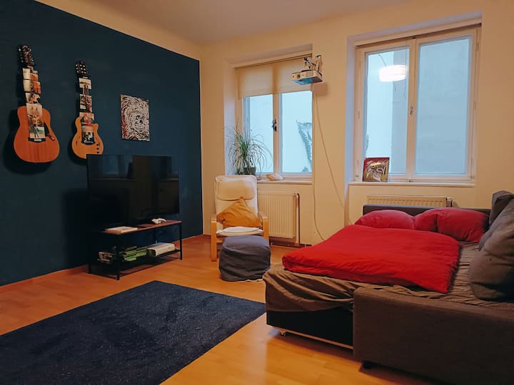 Room In The Center Of Vienna With A Tight Host - Vienne