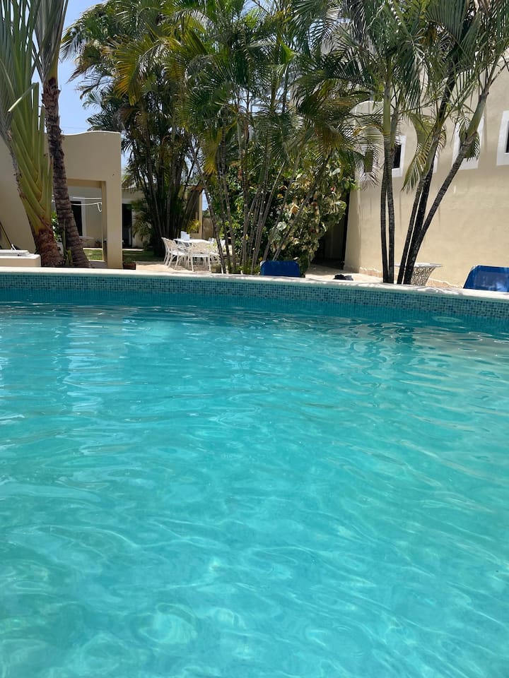 Appartement N°3 Studio De 50 M2 - Sosúa