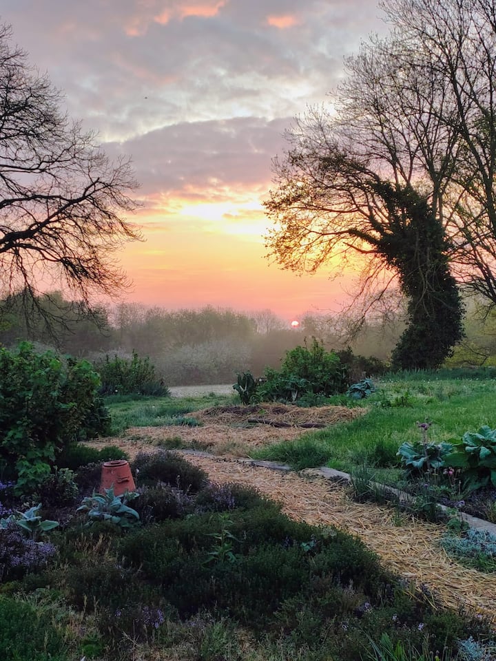Le Jardin Du Guivoas - Plage de Plouha (Bréhec)