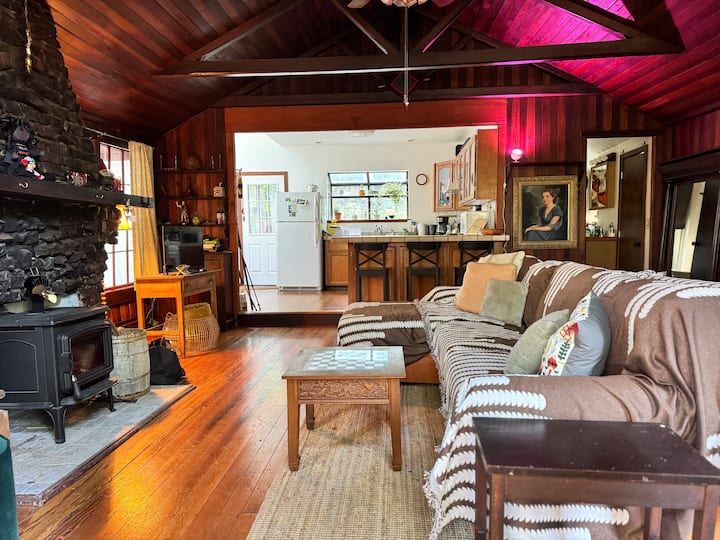 Woodsy Hideaway + Under The Trees - Occidental, CA