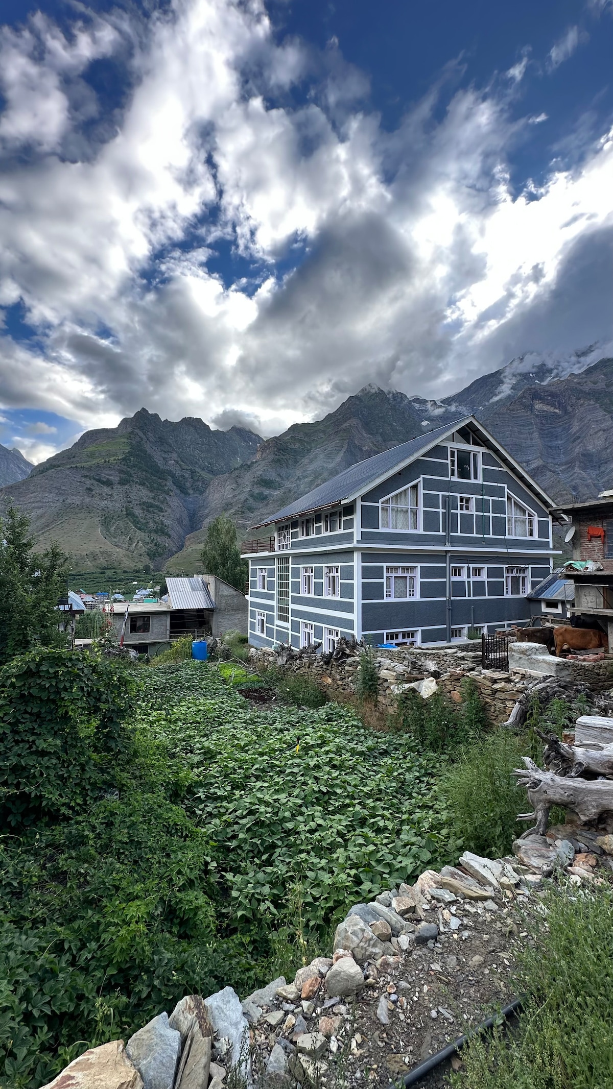 Nomad’s Nook - Houses for Rent in Tandi, Himachal Pradesh, India - Airbnb