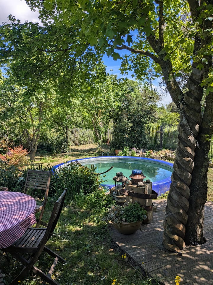 Maison De Charme En Bois Bassin Privé (Bleu Klein) - Remoulins
