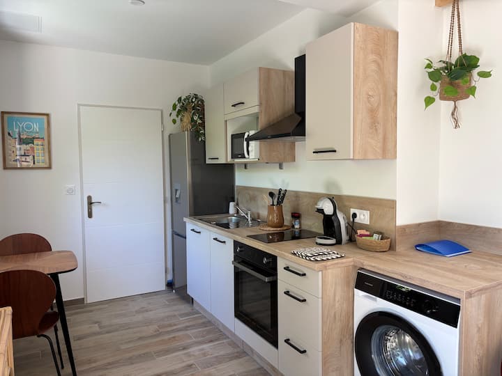 Blyes (01) Cnpe - Prox. St Vulbas - Studio Neuf - Sainte-Julie