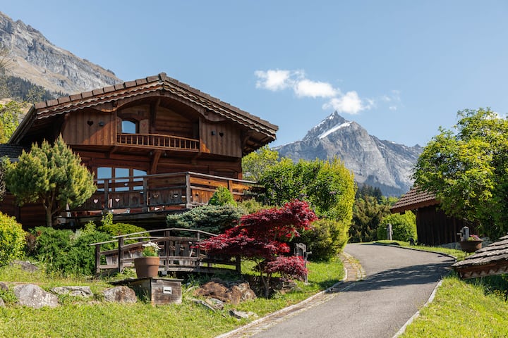 Chalet "Grenier" 2 - Vue Mont-blanc - Passy