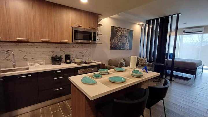 Moderno Apto En Heredia A/c Wifi - San José