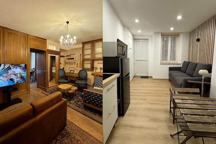 1 Studio Et 1 Appartement Luthier Centre Ville - Mirecourt