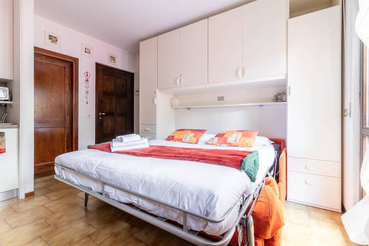 [2+1 Guests + Ski Storage] Aprica Tiny Flat - Aprica