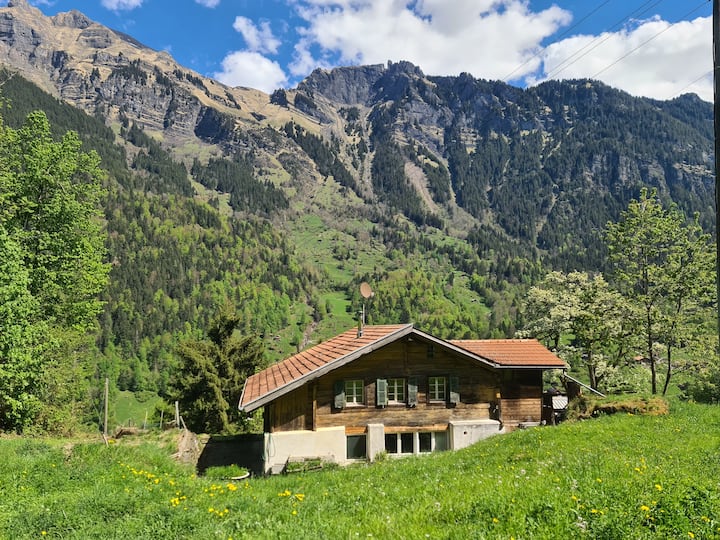 Ff Bergmomente - Mürren