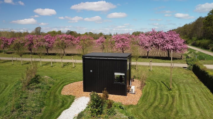 Langs De Polder - Huisje Bant - Emmeloord