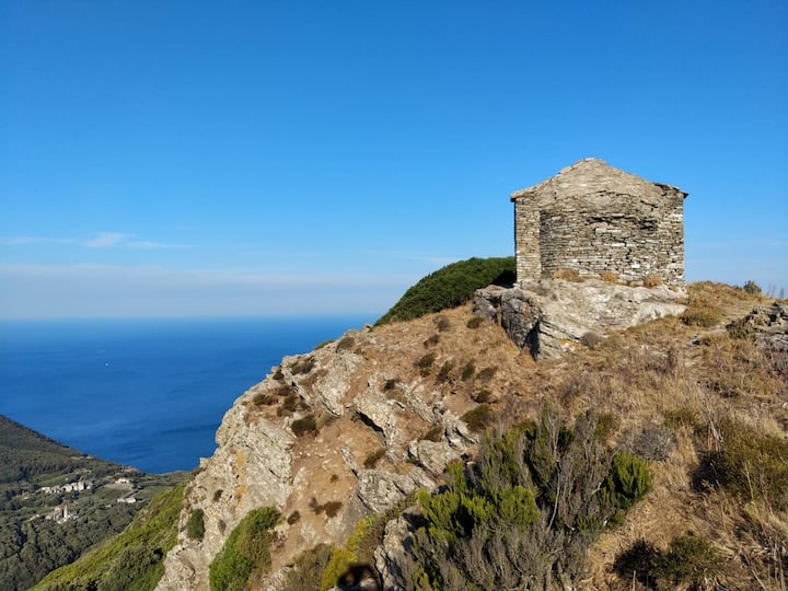 Chambre Dans Maison Du Cap Corse - Capo Corso