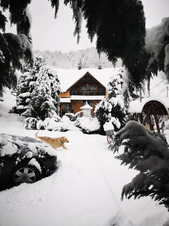 Casa Lucia-camera Galbenă - Bicaz-Chei