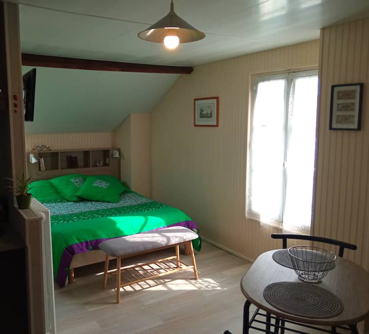 Moana Petite Suite En Ville Proche Des Commodités - Limoges