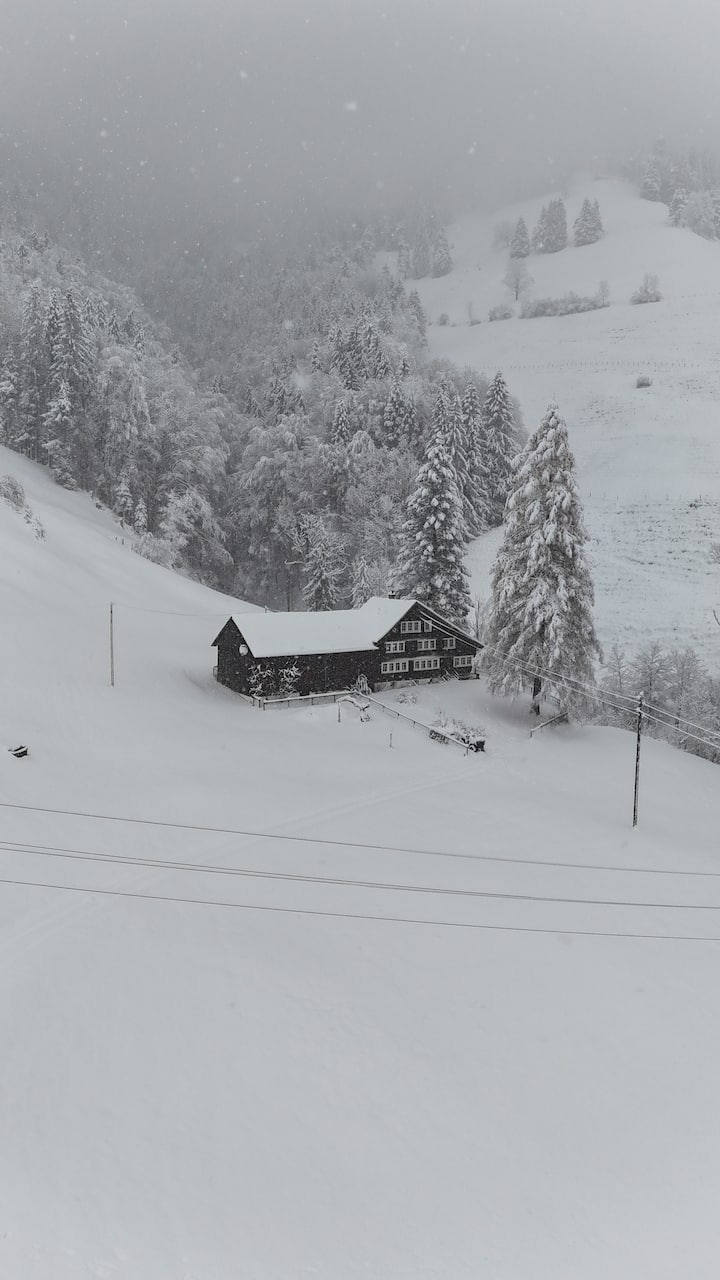 Instant Detox 1h Von Zürich Im Bauernhaus - Suisse