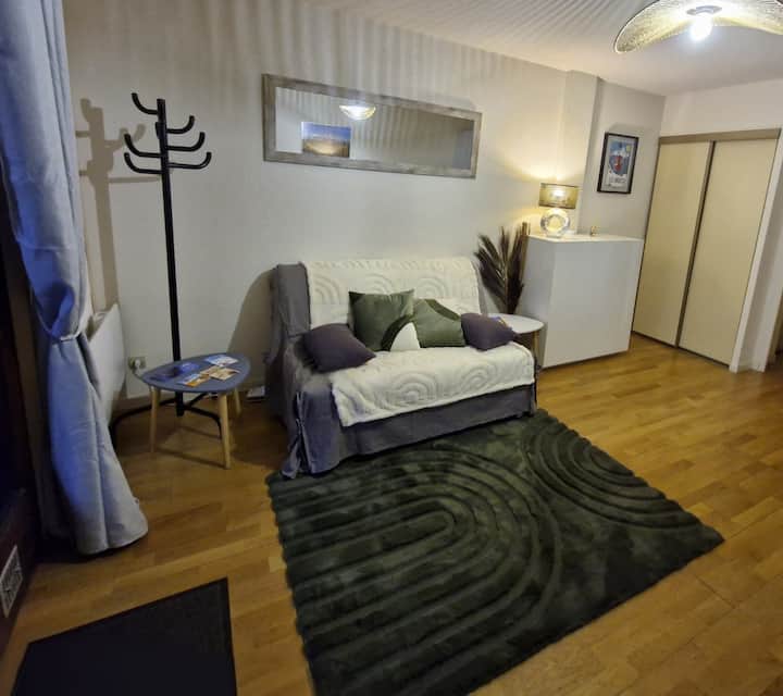 Grand T2 Agréable - 2/4 Pers
1 Chambre /
1 Cabine - Les Angles