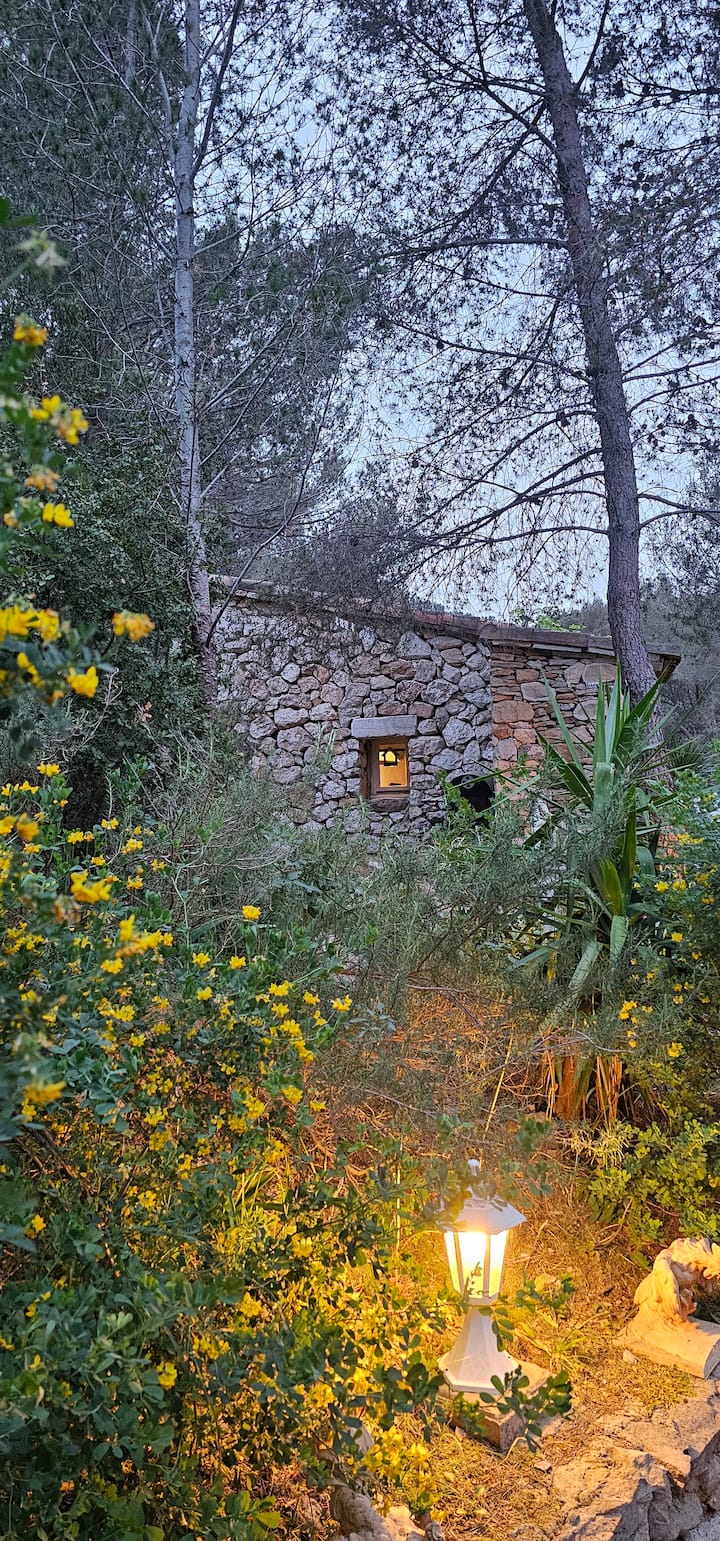 Maison Allauch La Forge - Allauch