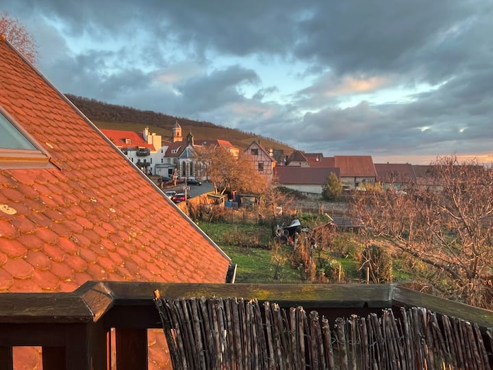 Appartement Vue Vignes - Bergheim, France
