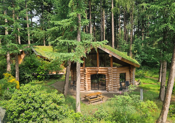 Bossch-log - Amersfoort