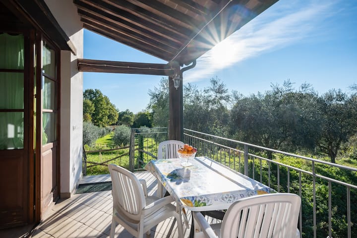 Two-level Flat With Terrace And Swimming Pool - Pitigliano