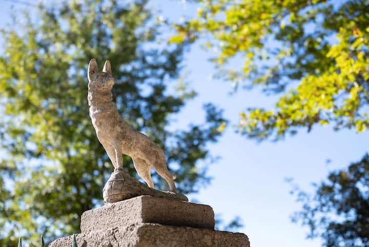 Private Villa With Fireplace And Pool - Pitigliano - Pitigliano