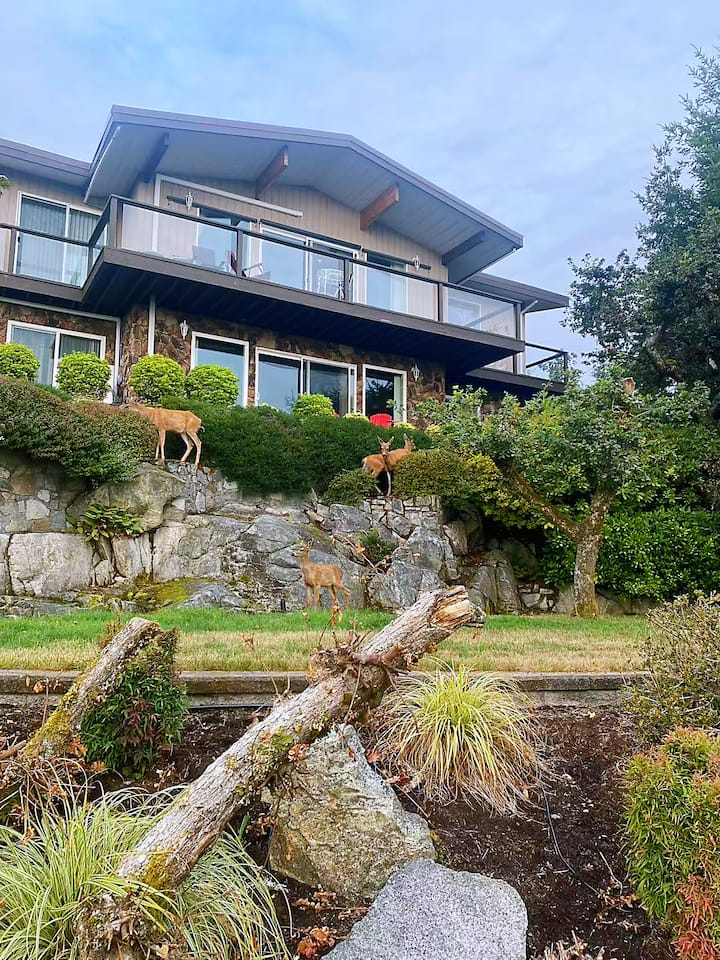 Oceanview Guesthouse - Parksville