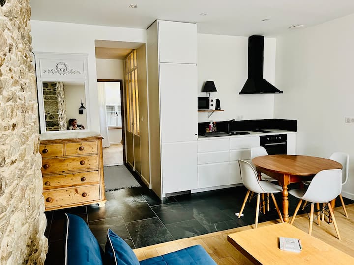 T2 Luxueux Hypercentre + Parking - Vannes