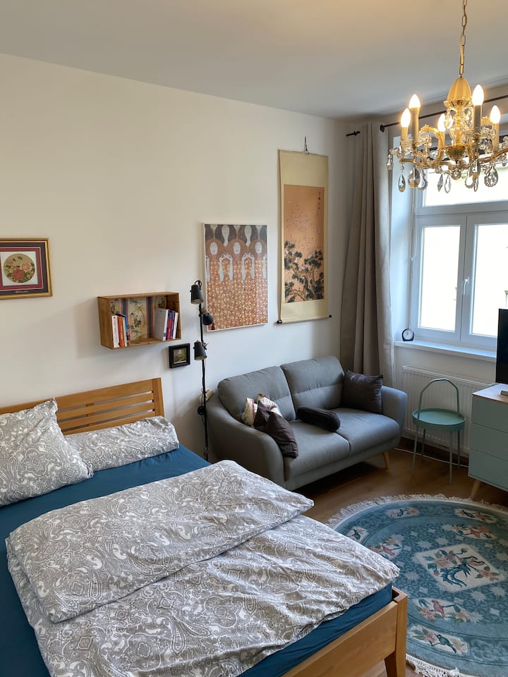 Charming Modern Old Apartment - Vienna