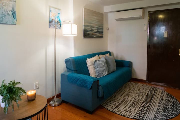Entire Cozy 1 Bedroom Apartment - New York