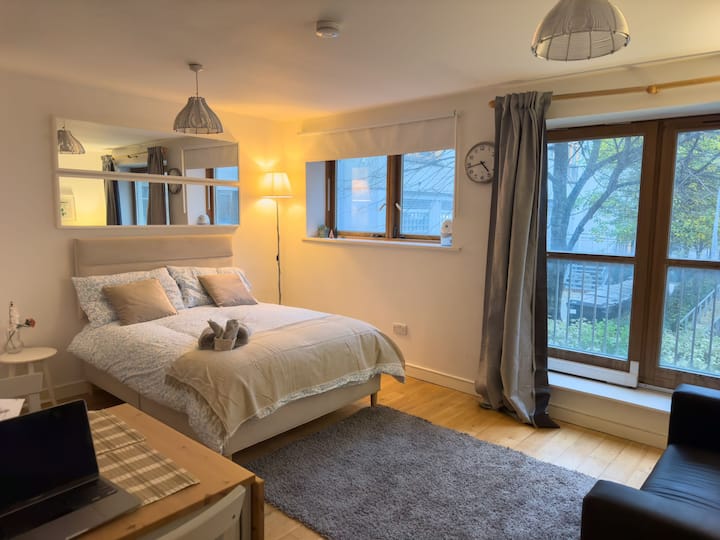 Central Dublin -  Beautiful Studio In Temple Bar - Dublin