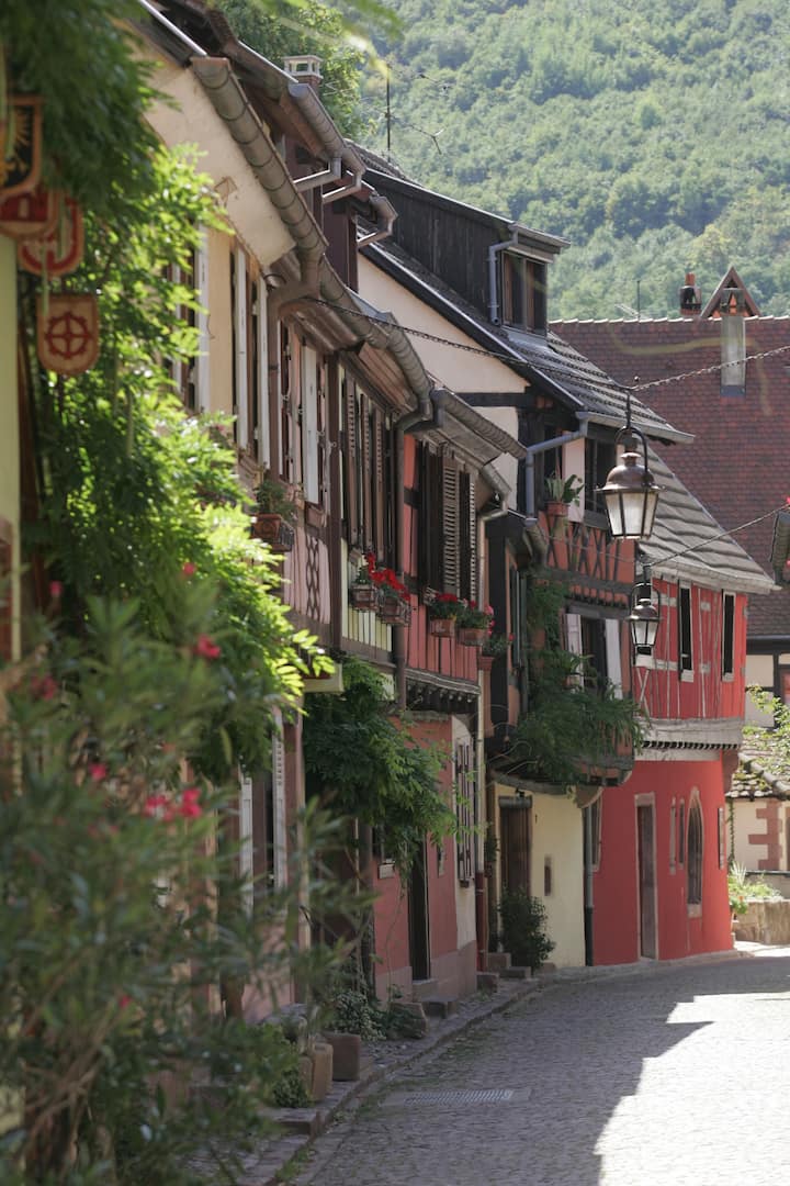 Gîte Du Bien-être - Riquewihr