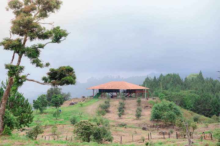 Los Ocales - La Vega