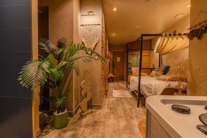 Jacuzzi • Hammam • Sauna • Terrasse Extérieur - Lille