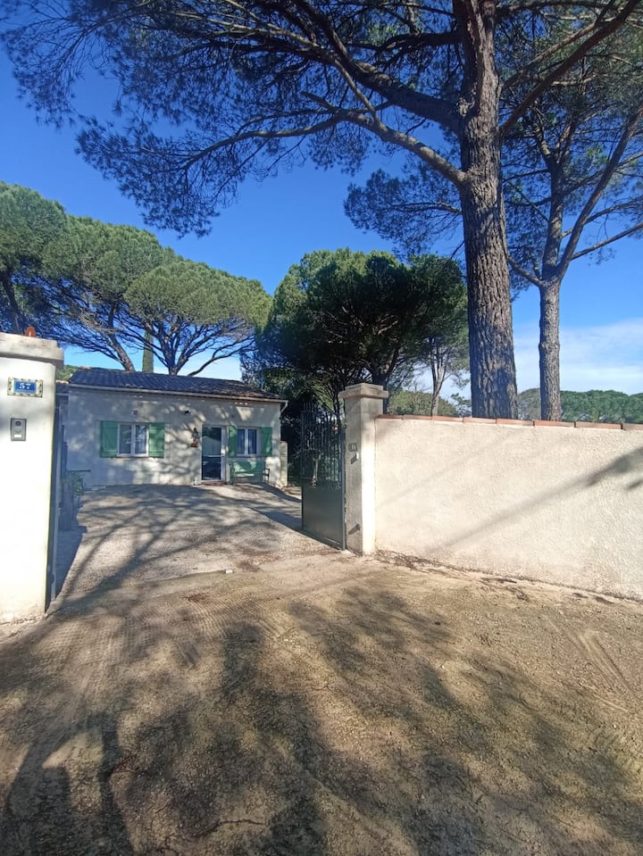 Cottage Sous Mes Pins - Vidauban