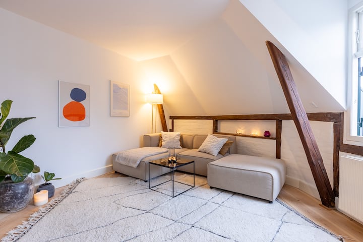 Penthouse In The Heart Of Copenhagen - Copenhagen