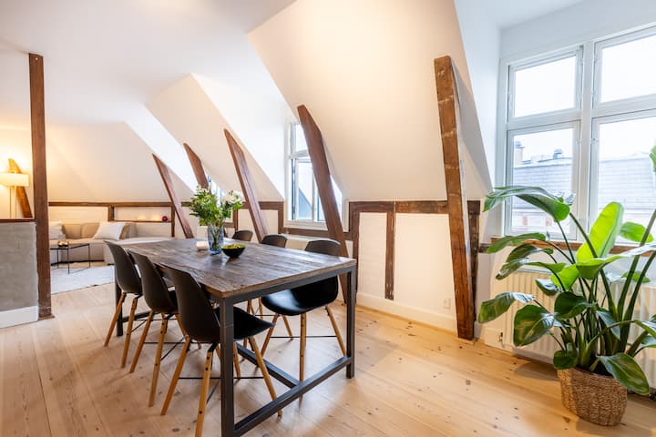 Penthouse In The Heart Of Copenhagen - Copenaghen